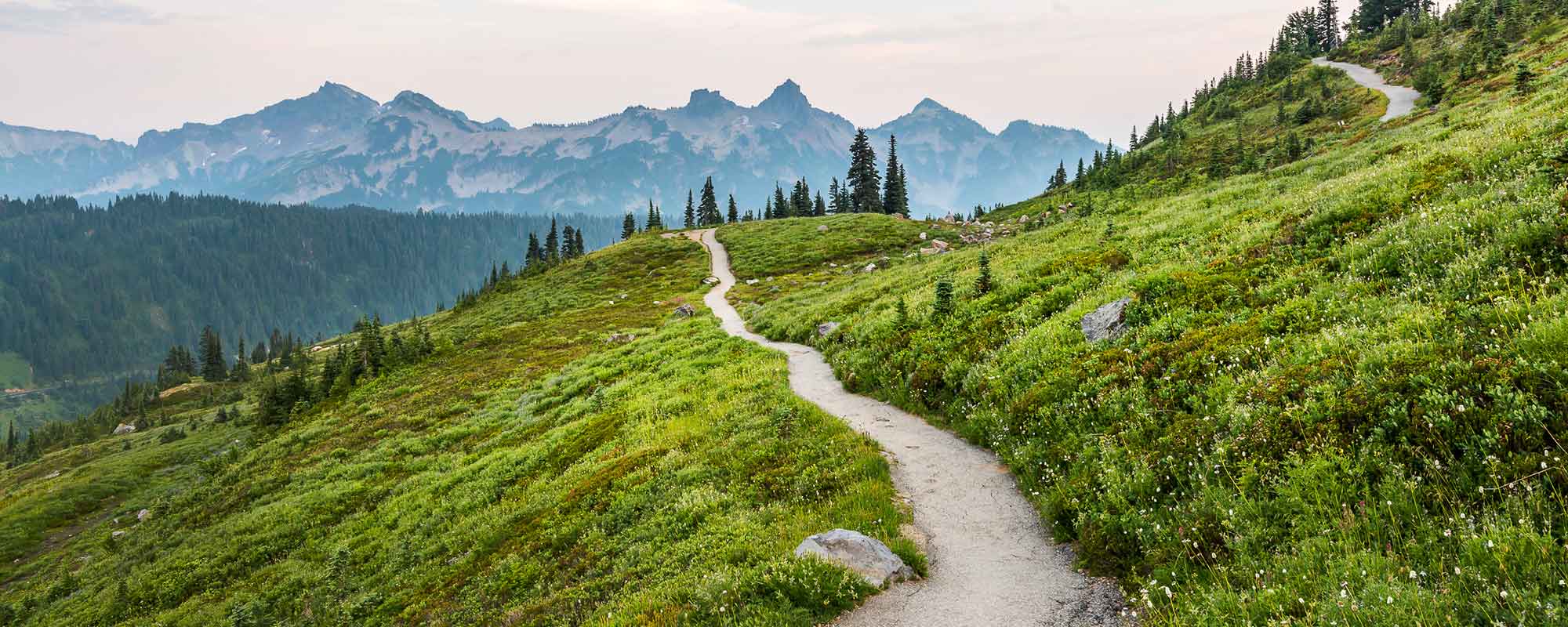 Pacific Crest Bank – You'll like what you see from the Crest.